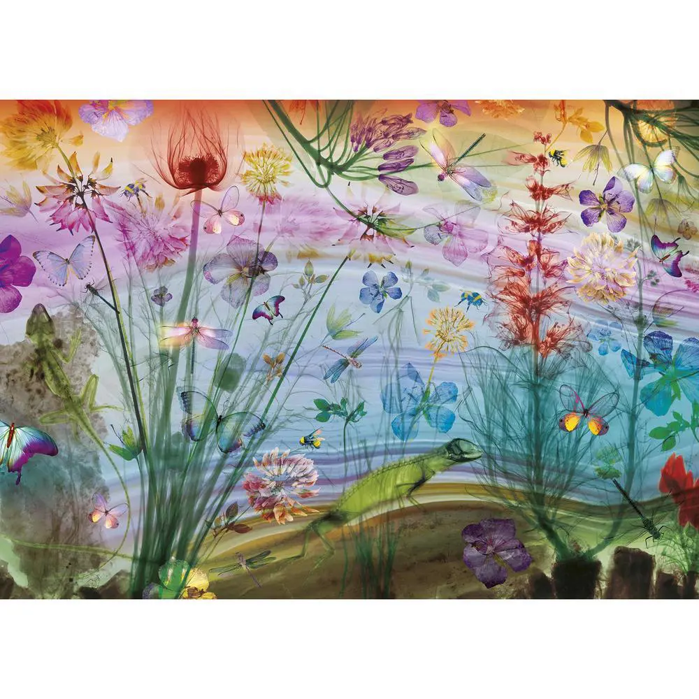 Puzzle See Through Nature, 1 000 dielikov